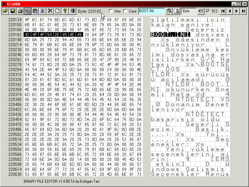 BINARY FILE EDITOR program & vb source code by Erdogan Tan